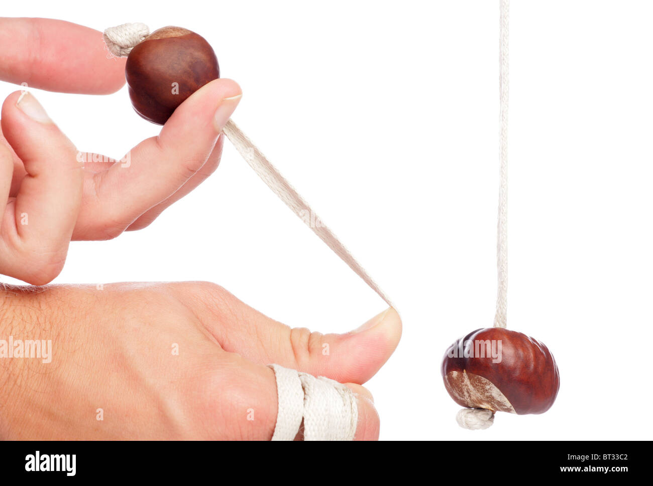 Conkers hi-res stock photography and images - Alamy