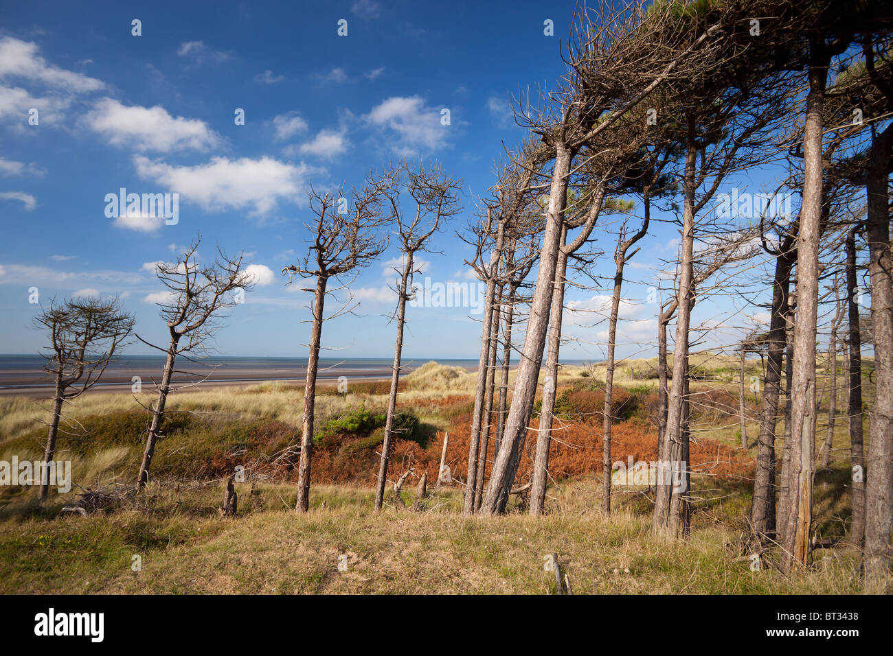 Erosion on the Sefton Coast at Formby is causing coastal sqeeze and ...