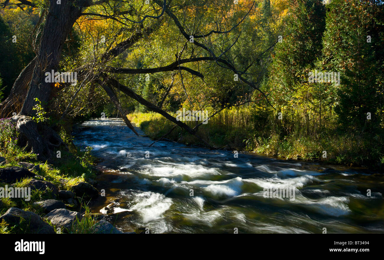 Forks of the river hi-res stock photography and images - Alamy