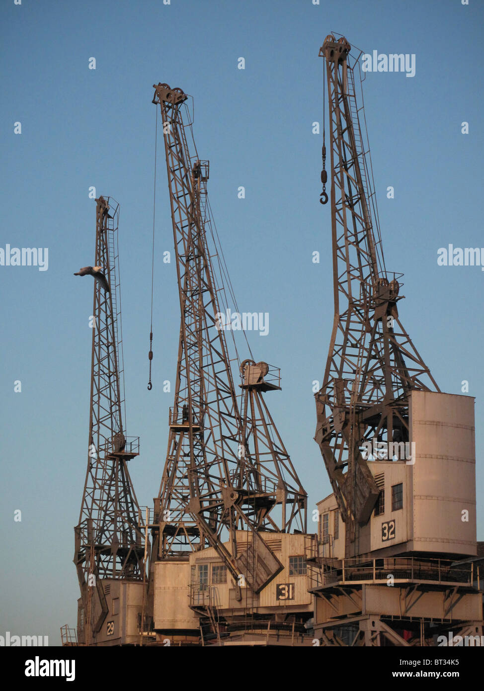 Bristol cranes hi-res stock photography and images - Alamy
