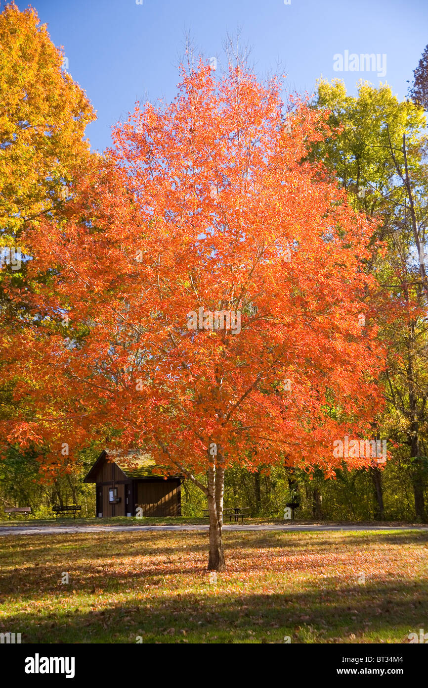 Round spring hi-res stock photography and images - Alamy