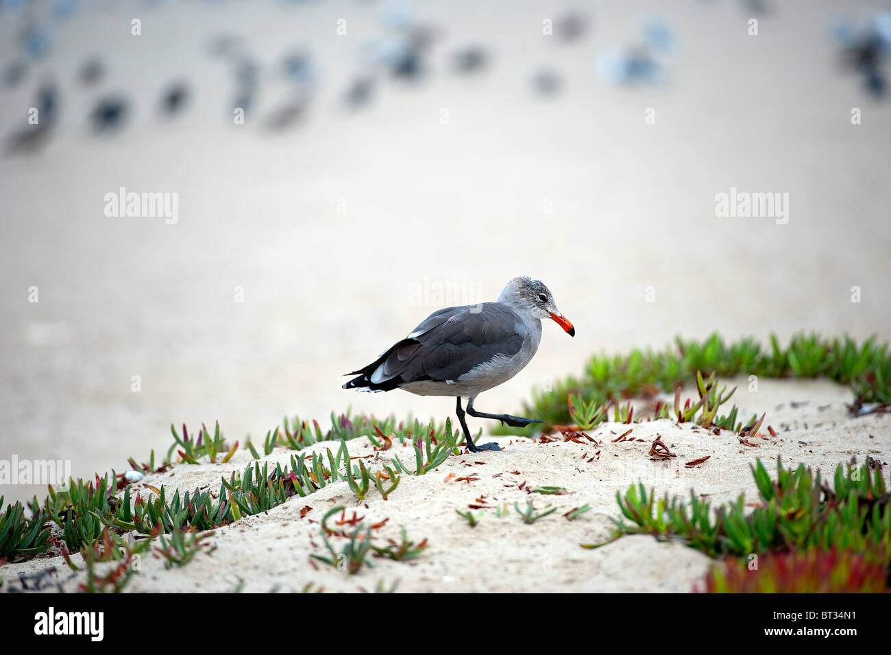 American seafaring hi-res stock photography and images - Alamy