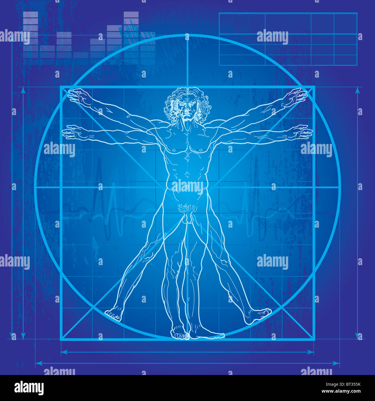 Vitruvian Man Stock Photos & Vitruvian Man Stock Images - Alamy