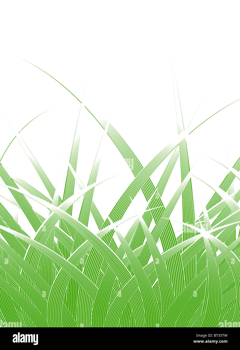 Illustrated design of stylized grass blades Stock Photo - Alamy