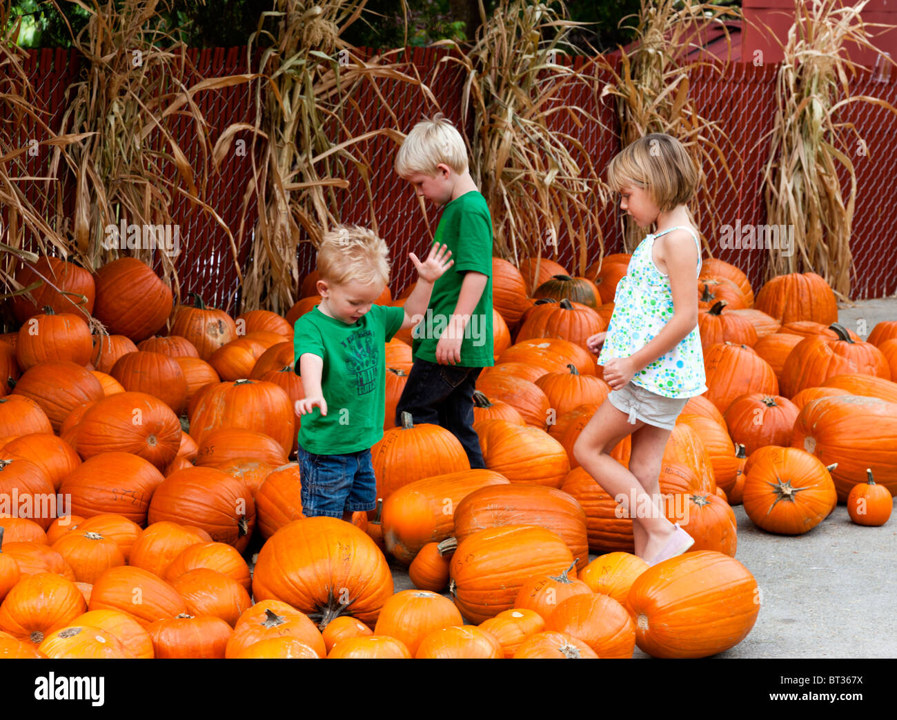 Children pumpkin halloween hi-res stock photography and images - Alamy