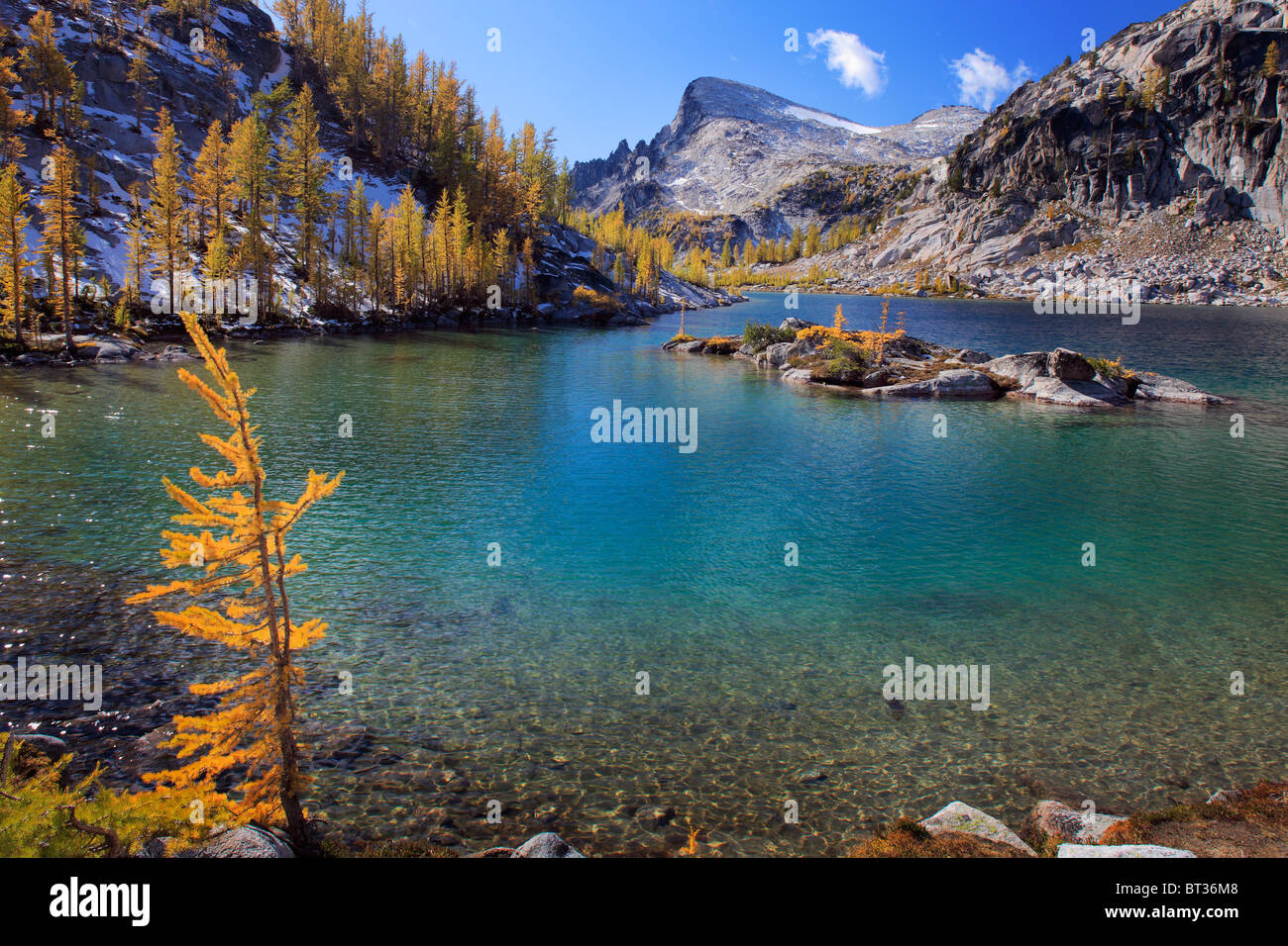 Larch trees at Perfection Lake in the Enchantment Lakes wilderness in ...