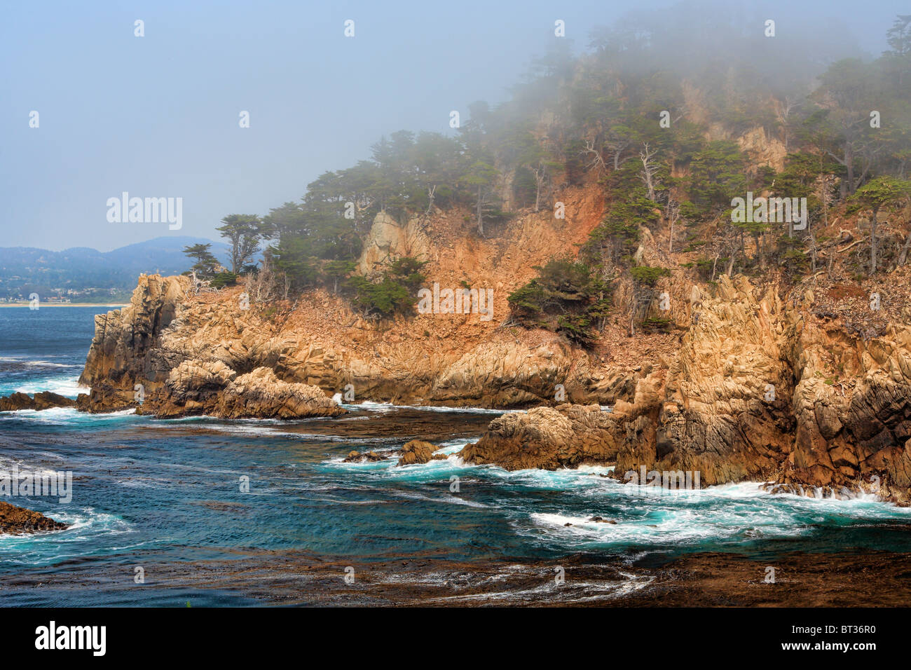 Point Lobos State Natural Reserve along the California coast Stock ...