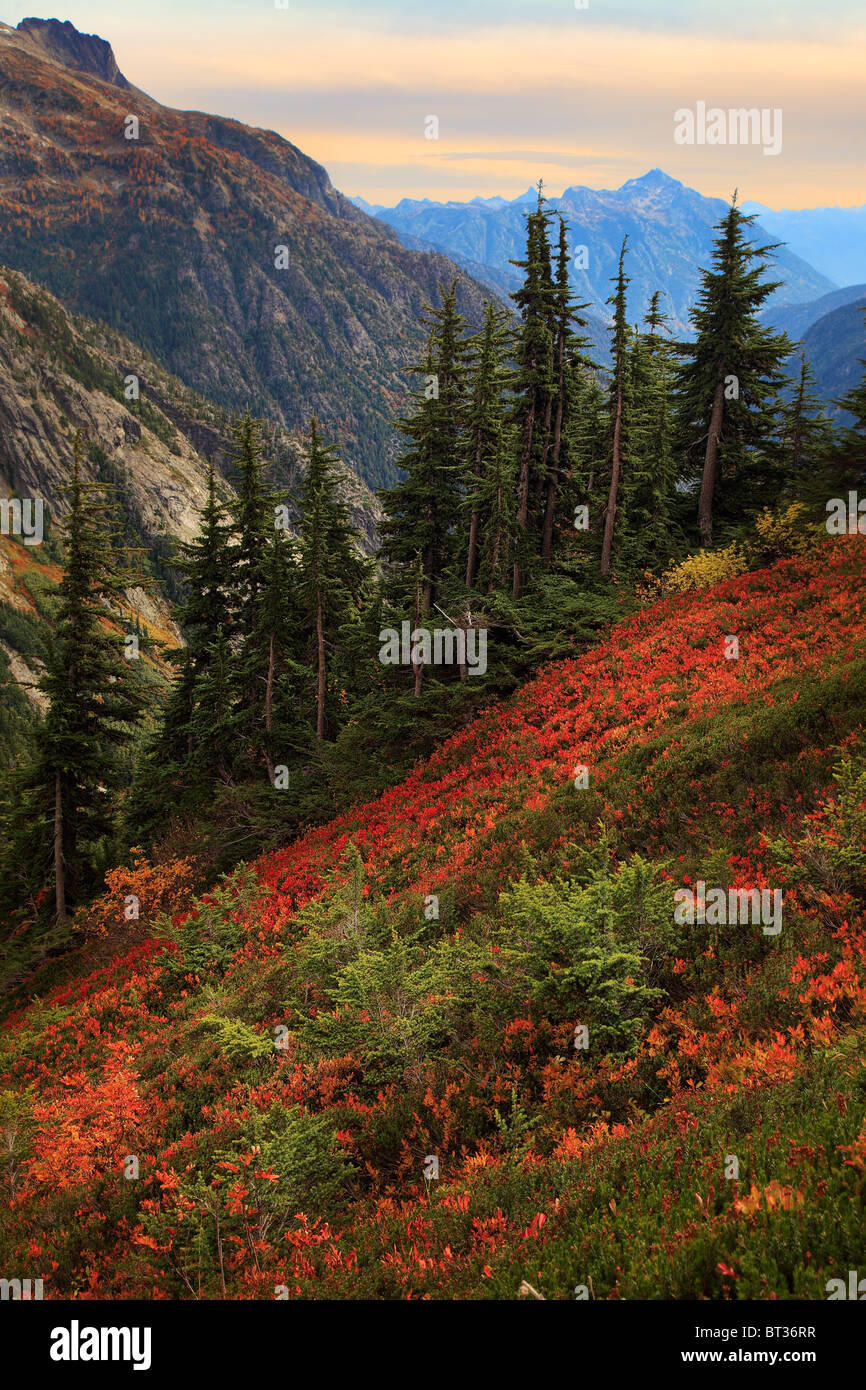 The Sahale Arm in North Cascades National Park in Washington state, USA ...