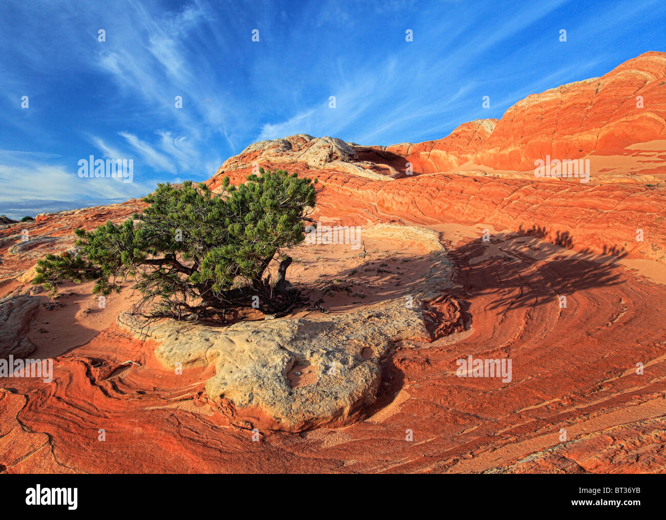 Vermilion colour colourful hi-res stock photography and images - Alamy