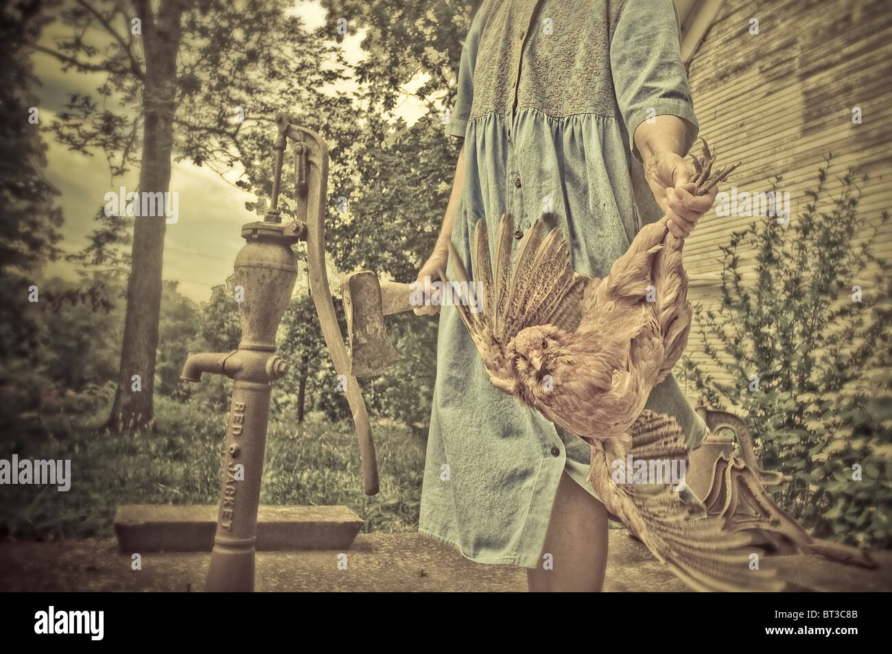 Rural life with woman holding chicken and axe Stock Photo - Alamy