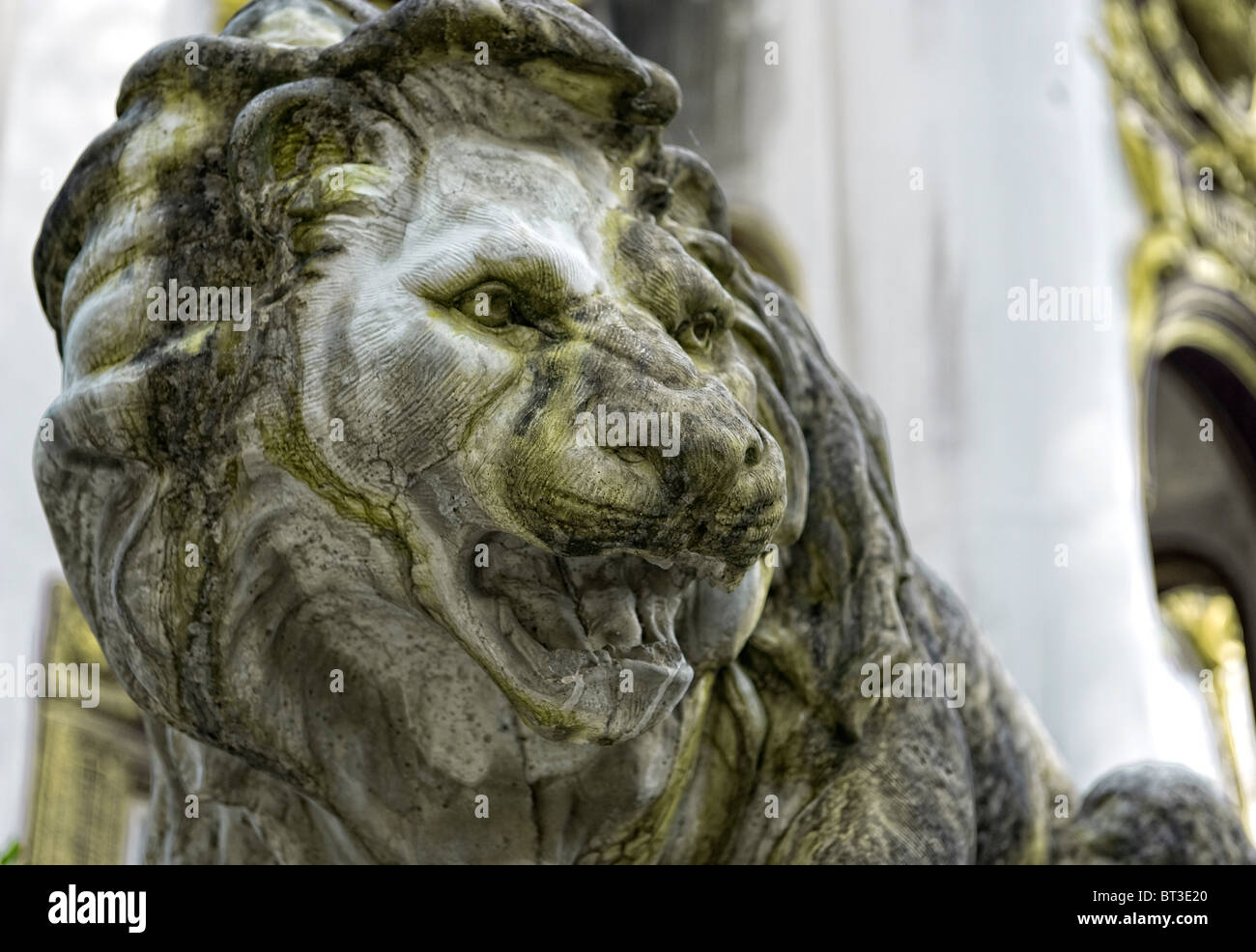 Toothless lion hi-res stock photography and images - Alamy