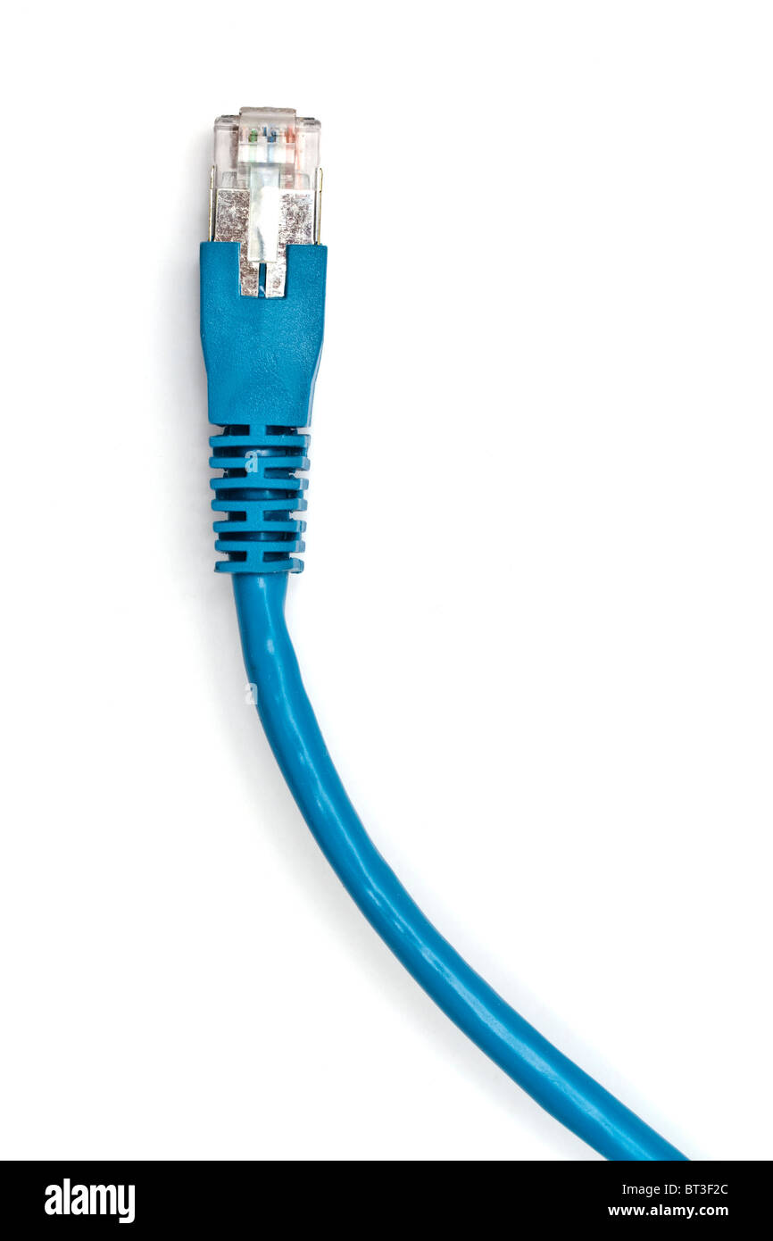 Blue network cable on white background Stock Photo - Alamy