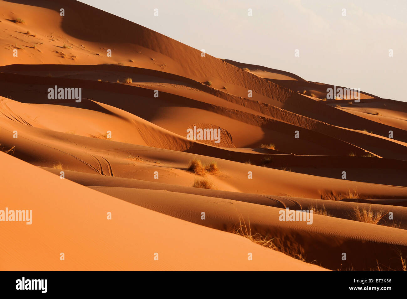 Amazing desert hi-res stock photography and images - Alamy