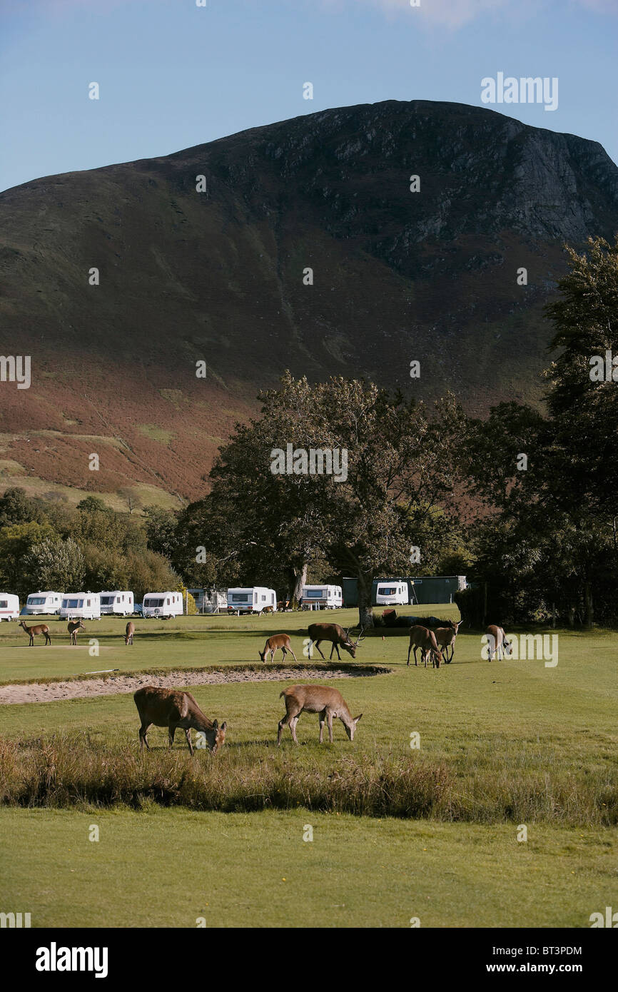 Lochranza golf course hi-res stock photography and images - Alamy