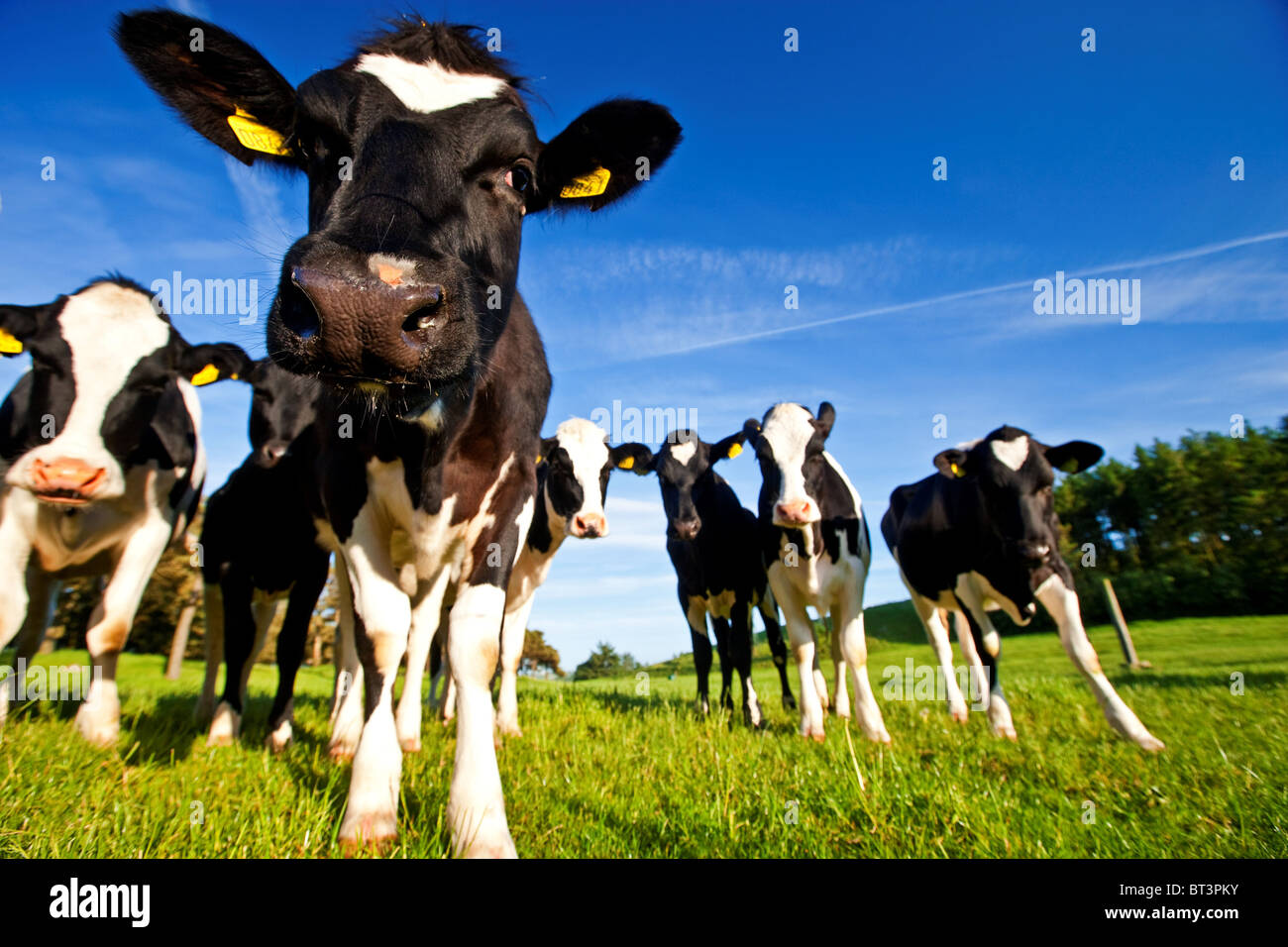 Bryne norway hi-res stock photography and images - Alamy