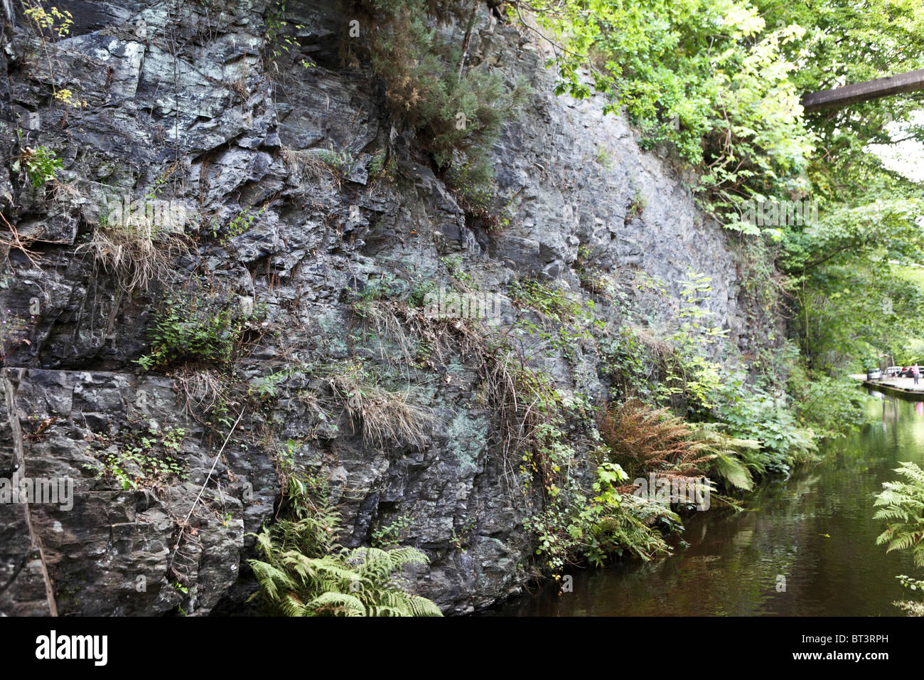 Wonderful colours adorn this rock face alongside the Llangollen Canal ...