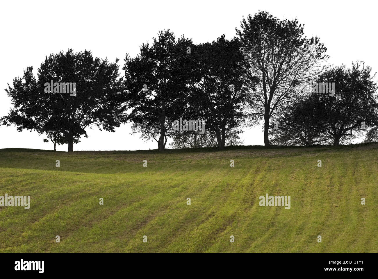 Creative Sky Cutout with Trees on a Hill Stock Photo - Alamy