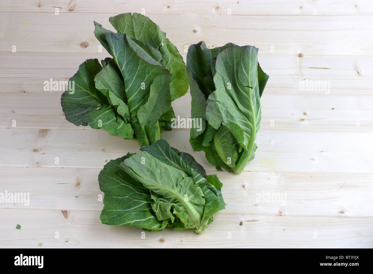 Spring greens cabbage hi-res stock photography and images - Alamy