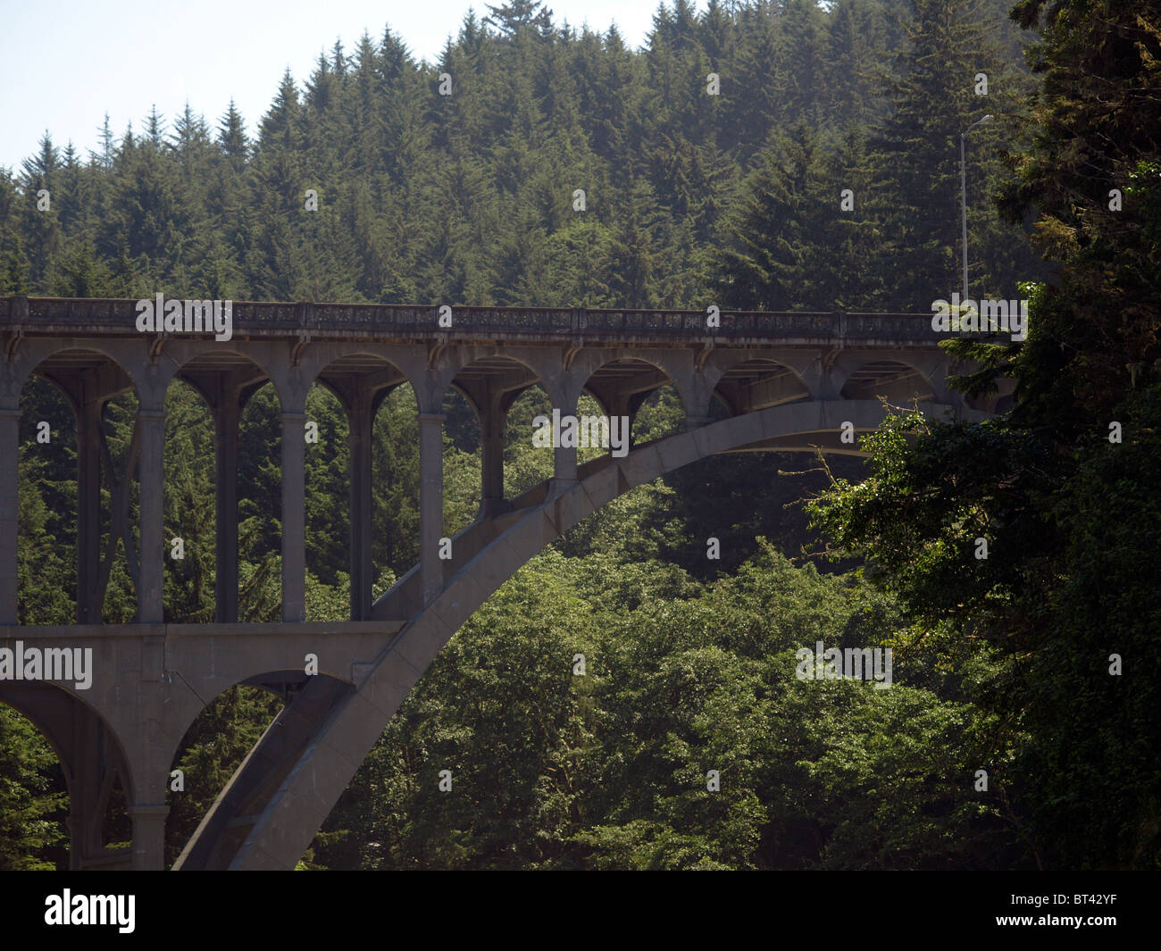 A sun light bridge surrounded by forest Stock Photo - Alamy