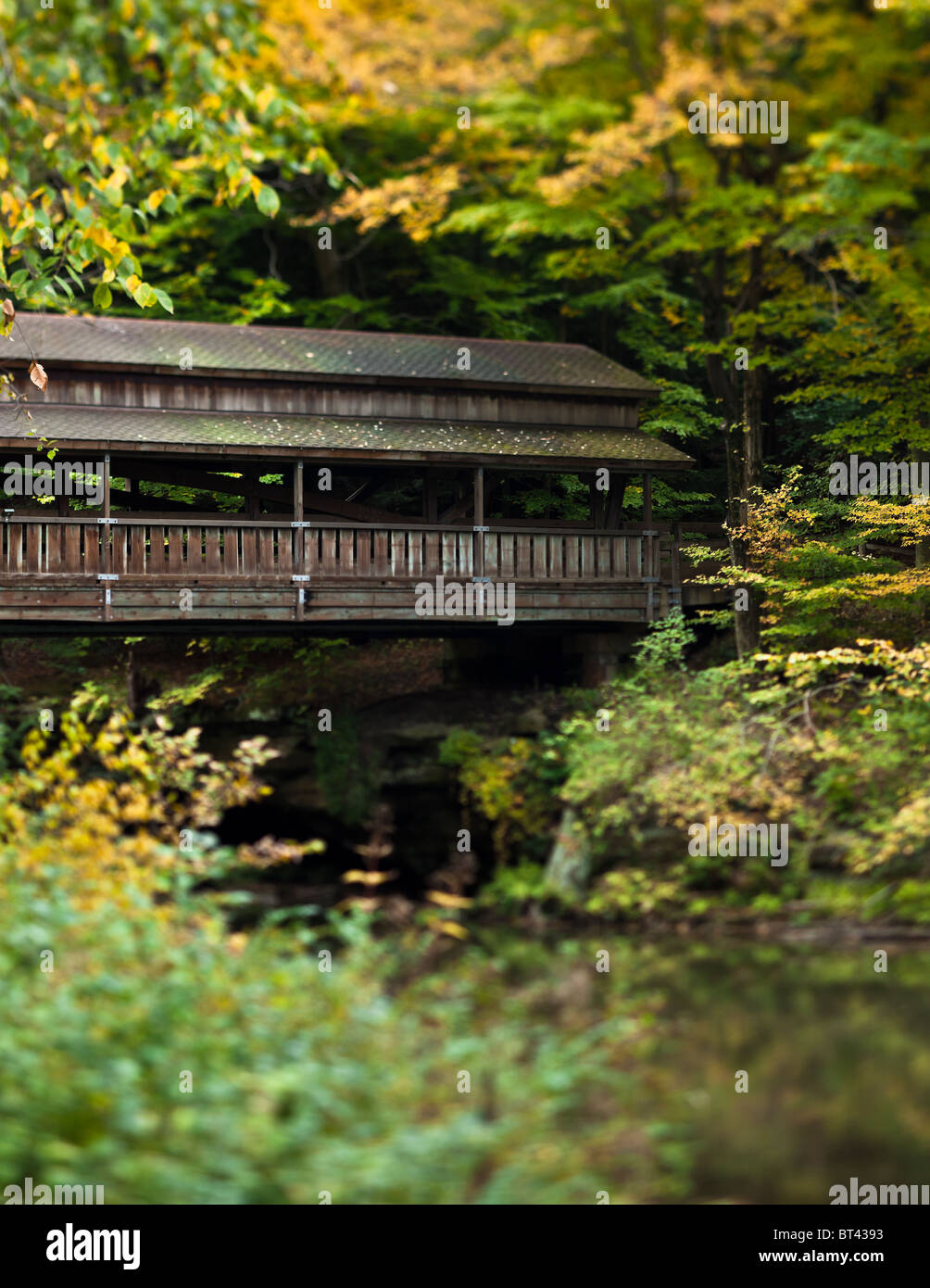 Bridge covered in plants hi-res stock photography and images - Alamy