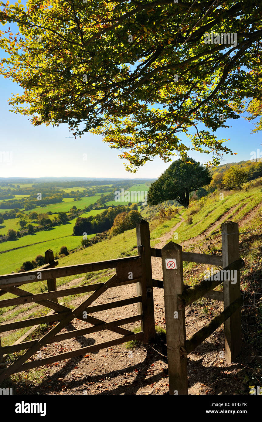 Surrey countryside hi-res stock photography and images - Alamy