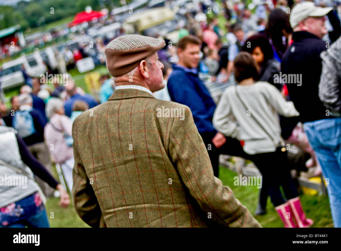 back view of country gentleman in crowd at field event Stock Photo - Alamy