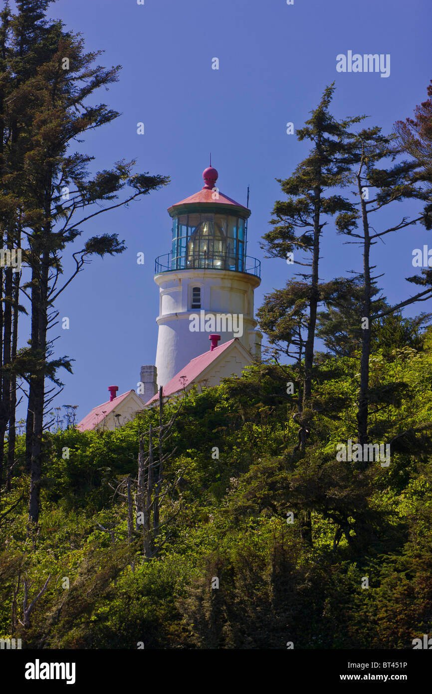 HECETA HEAD, OREGON, USA - Heceta Head lighthouse on Oregon coast Stock ...