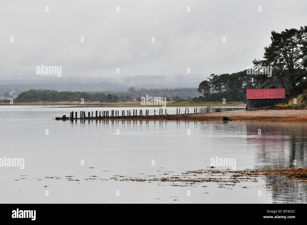 Culbin forest hi-res stock photography and images - Alamy