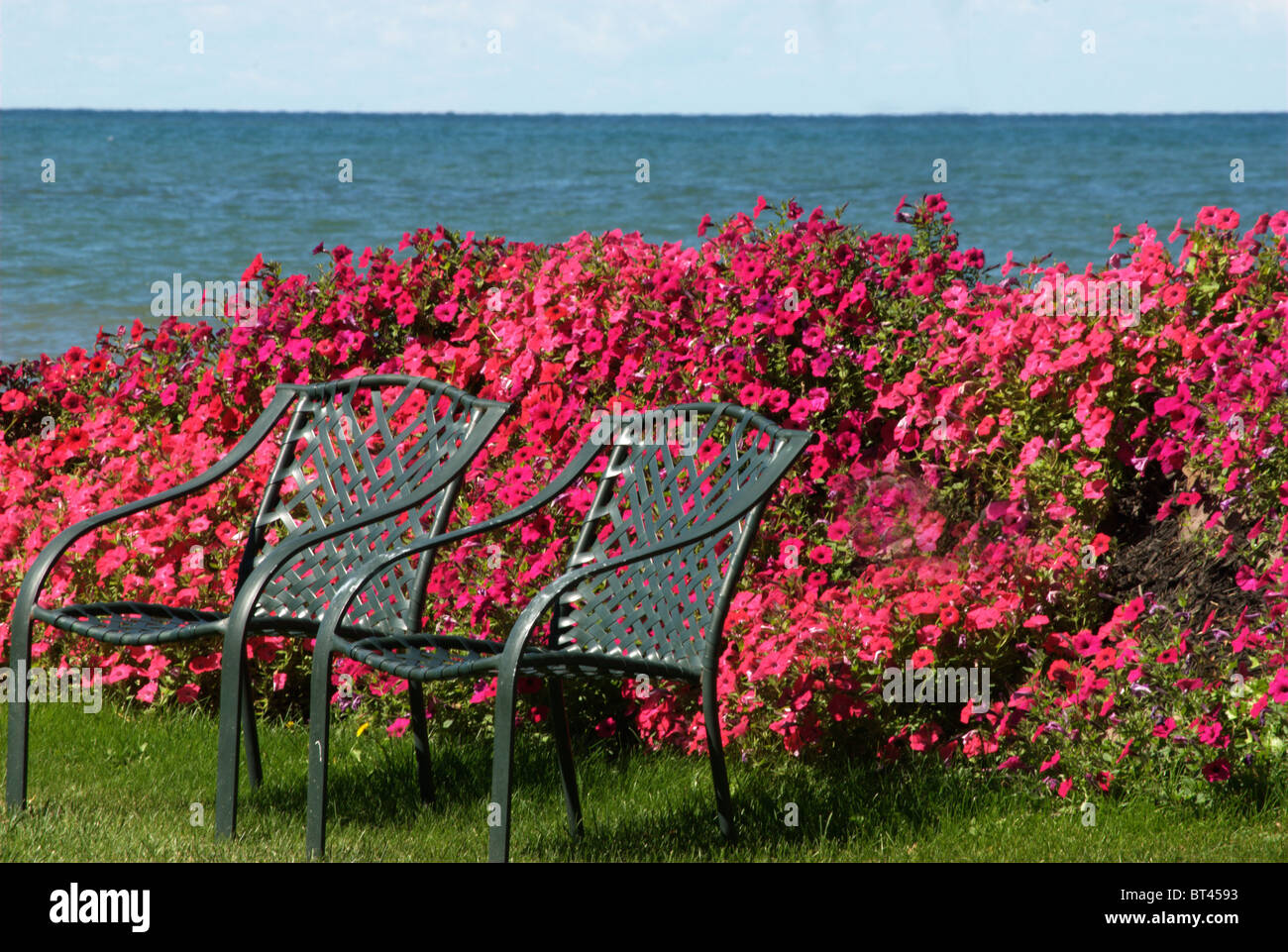 Ontario garden backyard hi-res stock photography and images - Alamy