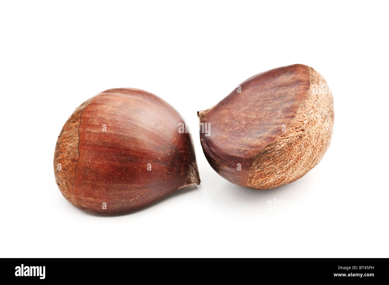 two chestnut isolated on white Stock Photo - Alamy