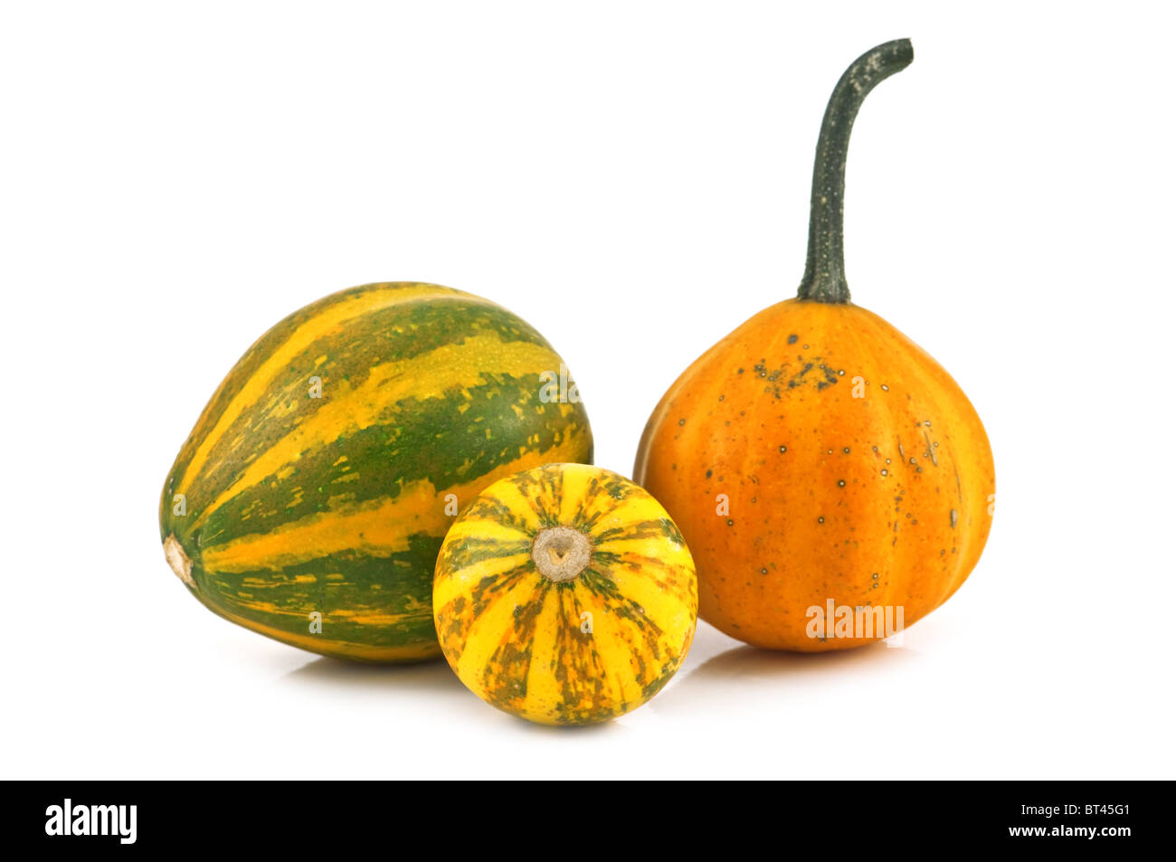 Different pumpkin hi-res stock photography and images - Alamy