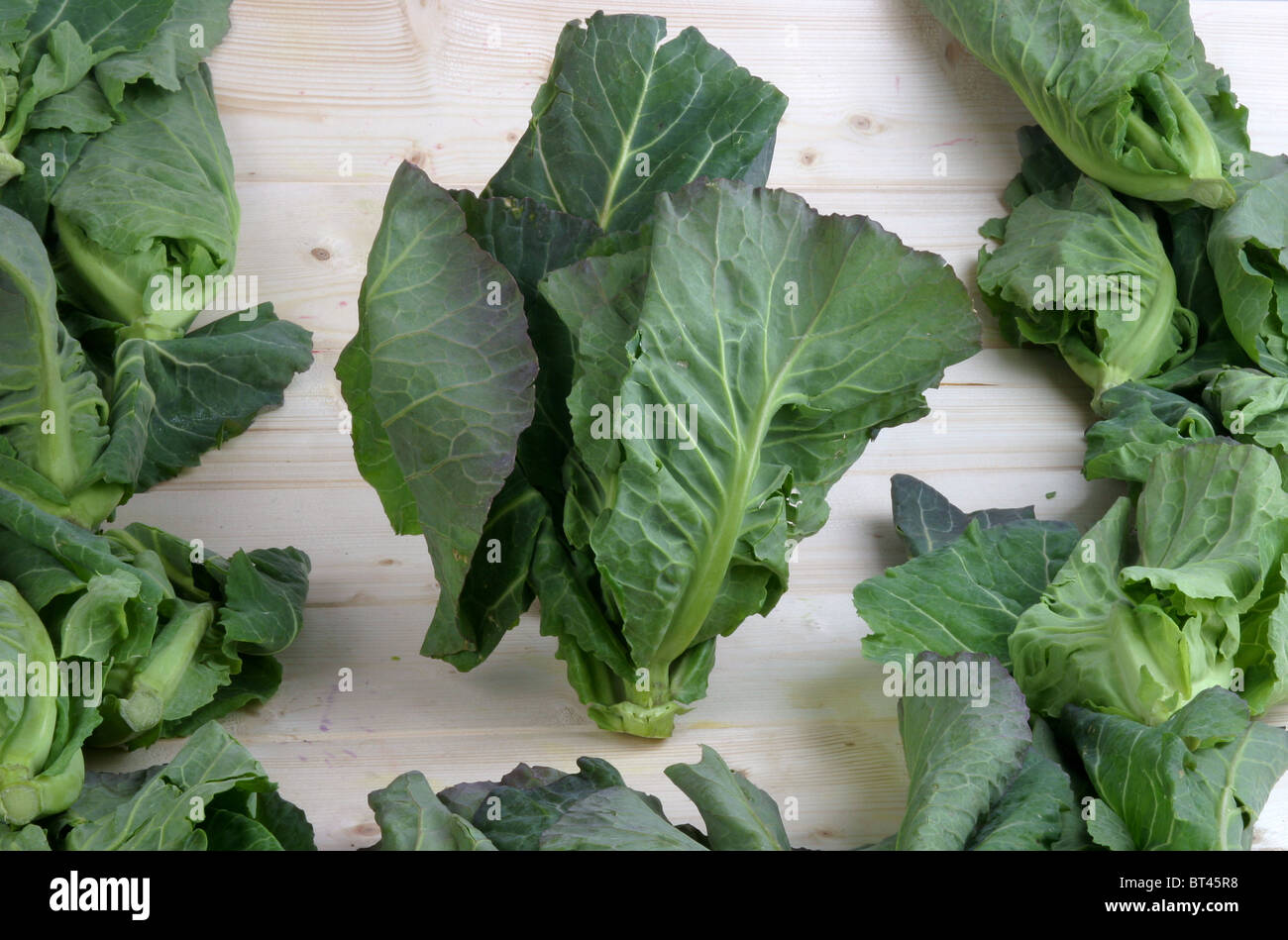 Cabbages hi-res stock photography and images - Alamy