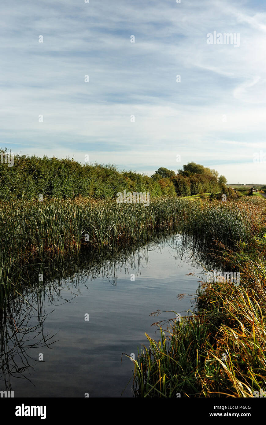 grantham nottinghamshire canal england uk Stock Photo - Alamy
