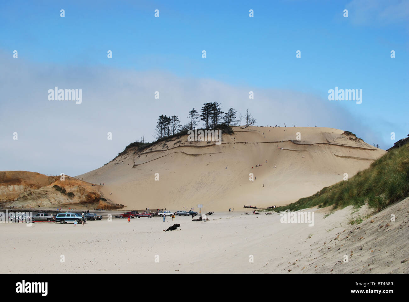 Sand dunes in Pacific City, Oregon on coast Stock Photo: 32054871 - Alamy