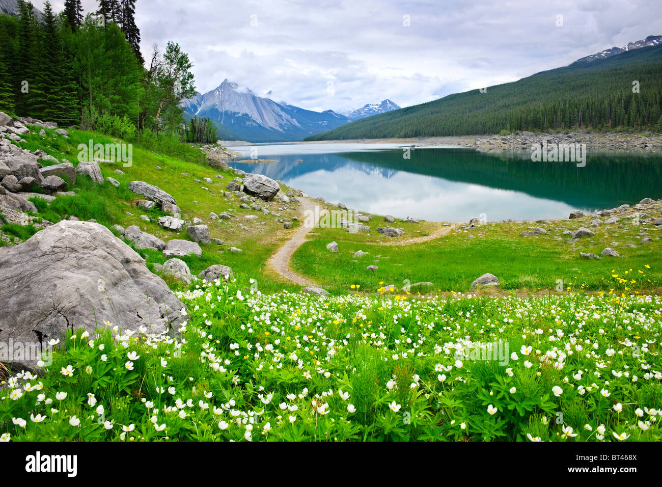 Maligne lake and flowers hi-res stock photography and images - Alamy