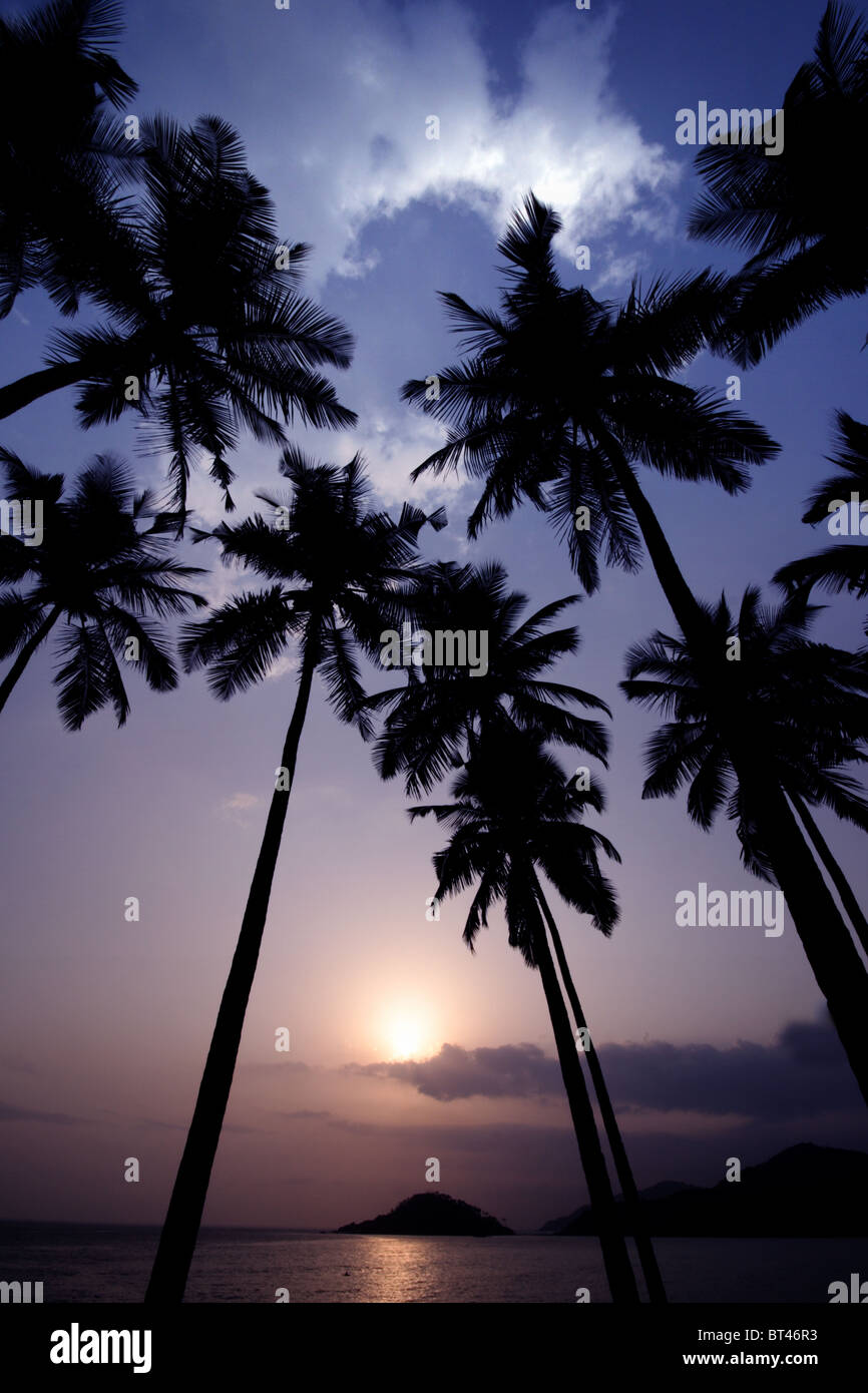 Palm trees goa sunset hi-res stock photography and images - Alamy