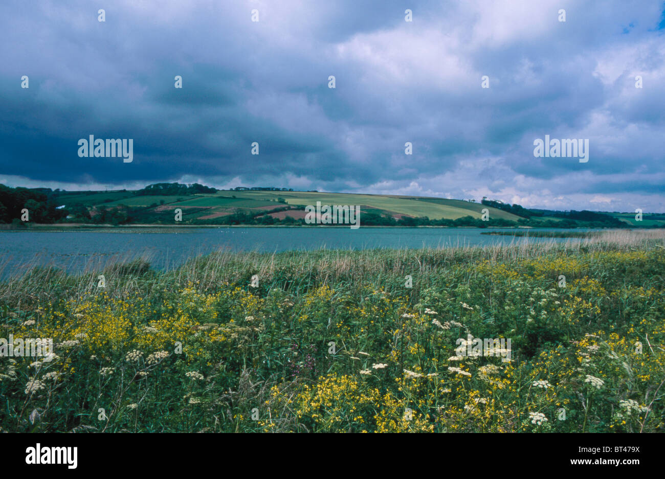 Slapton Ley. Devon, UK Stock Photo - Alamy