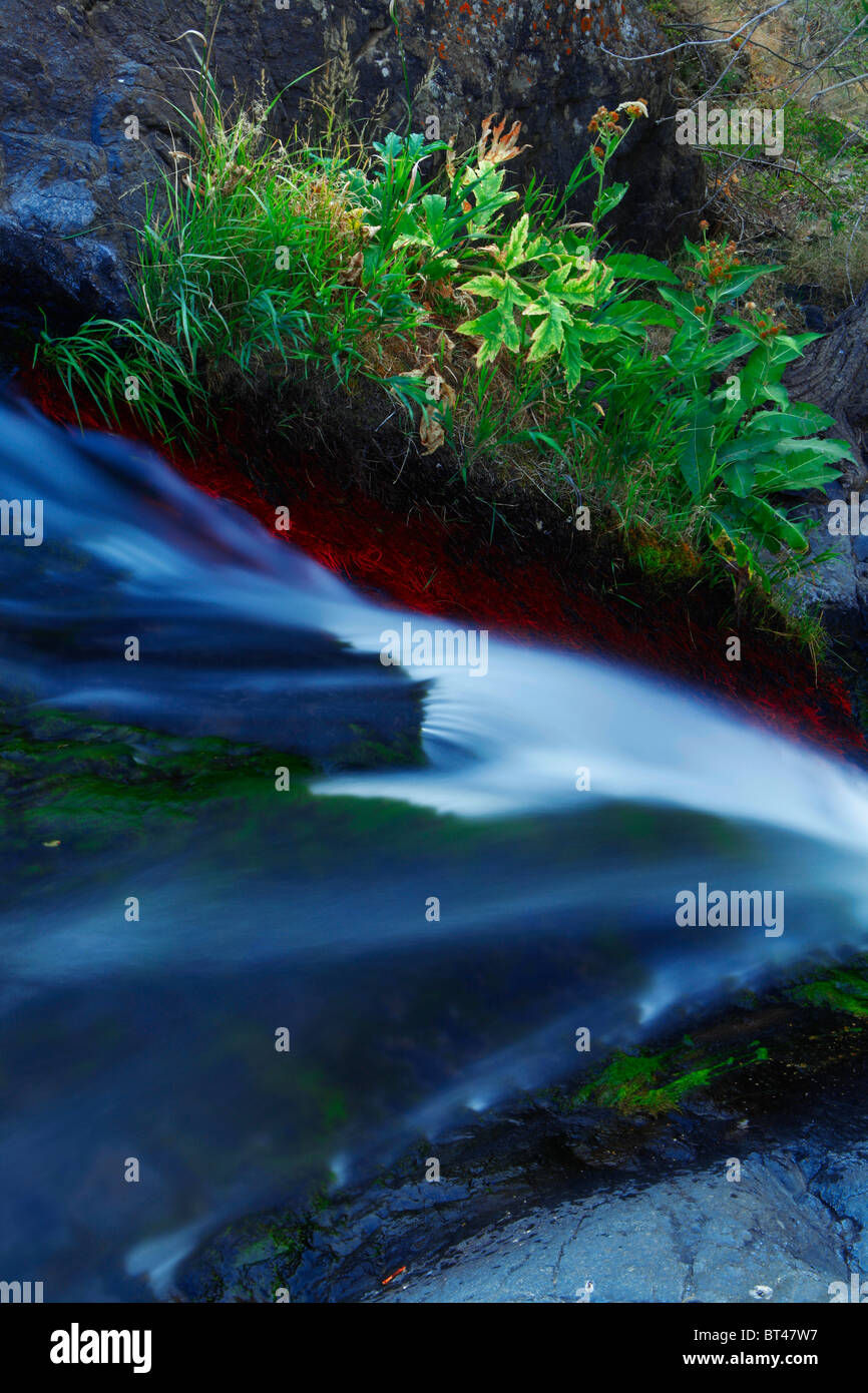 close-up of river stream in mountain river Stock Photo - Alamy