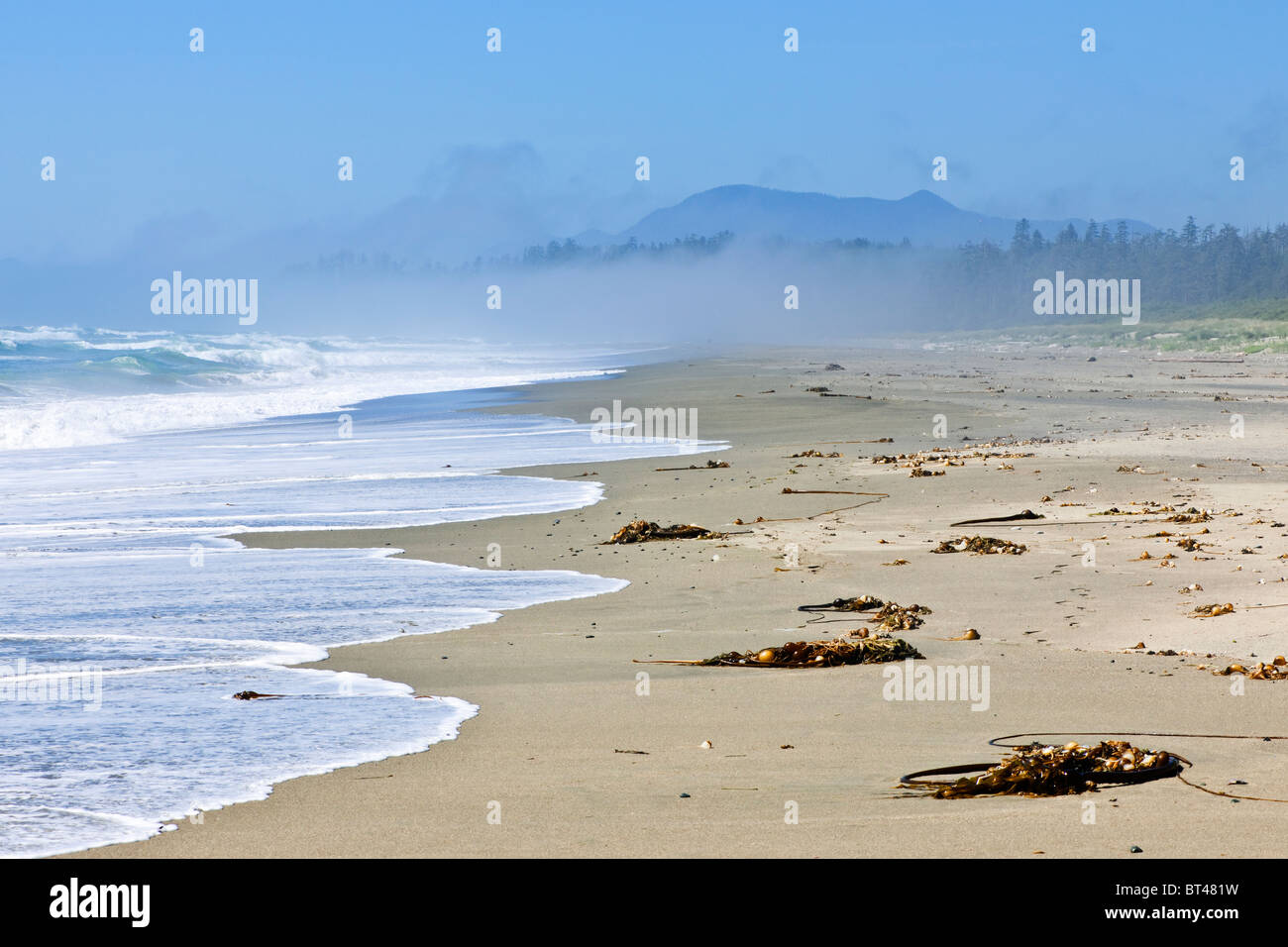 Long Beach in Pacific Rim National park, Canada Stock Photo - Alamy