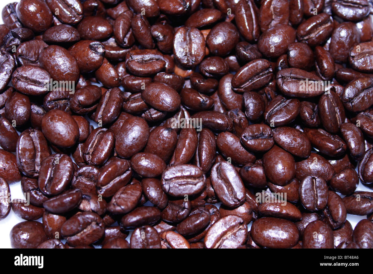 Coffee brown plain background hi-res stock photography and images - Alamy