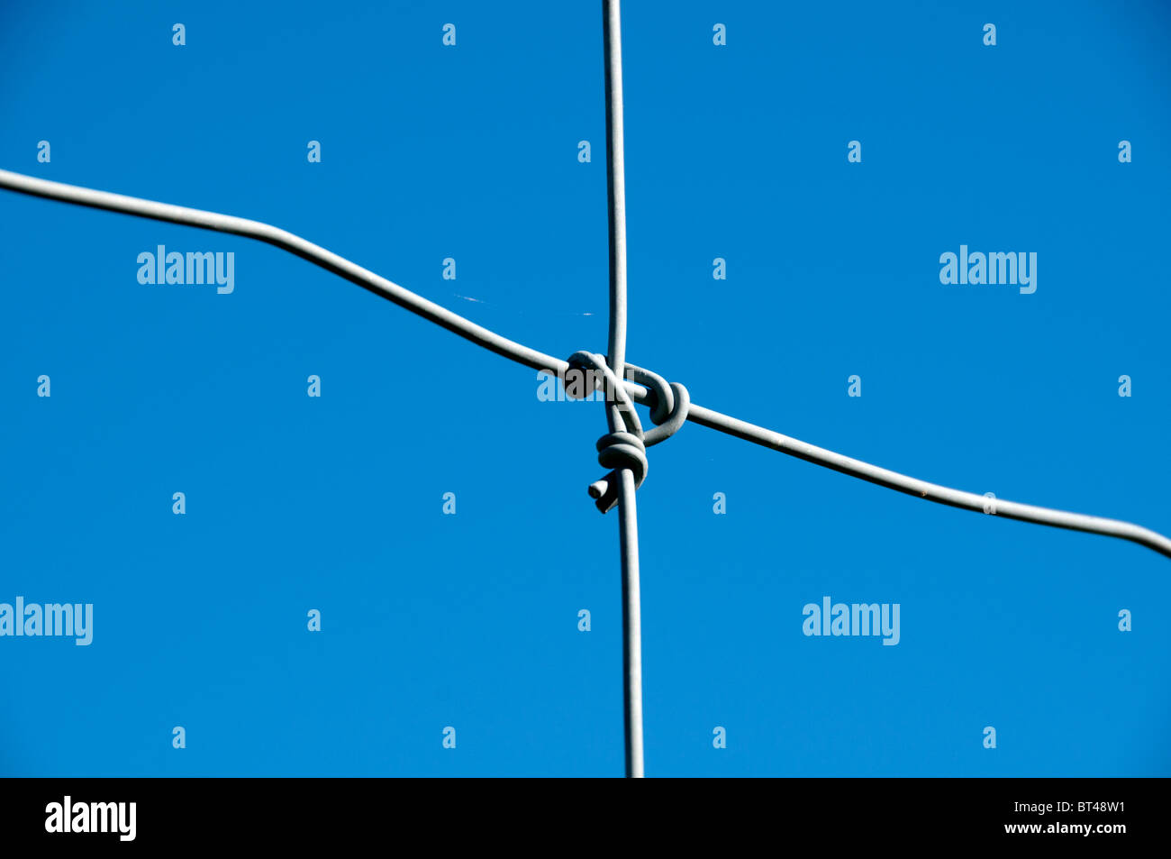 Detail of wire fencing Stock Photo - Alamy