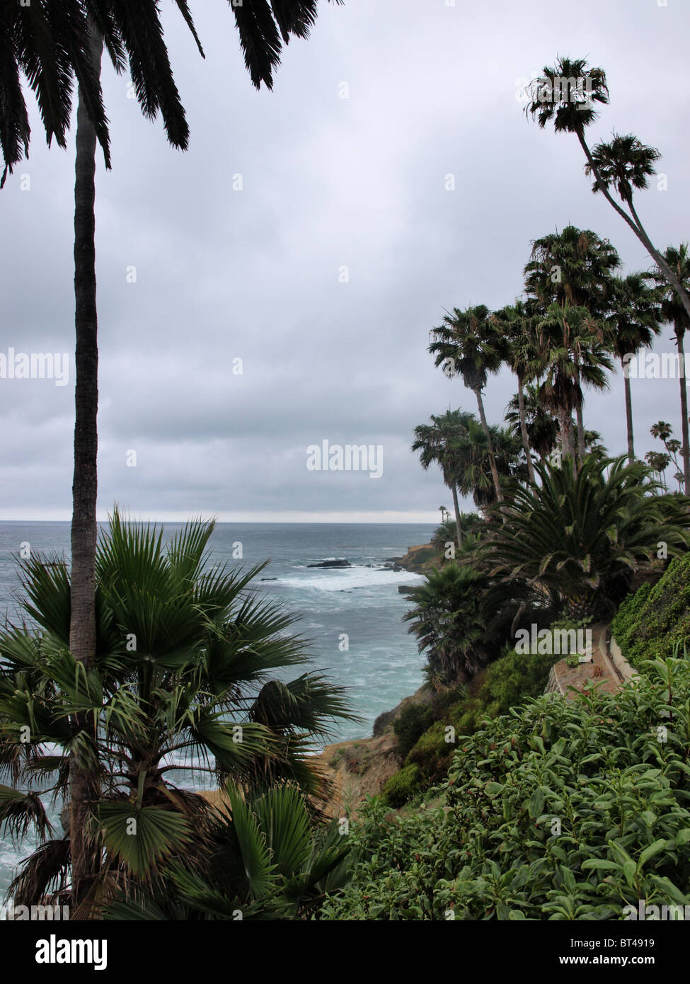 Cliff side vegetation hi-res stock photography and images - Alamy