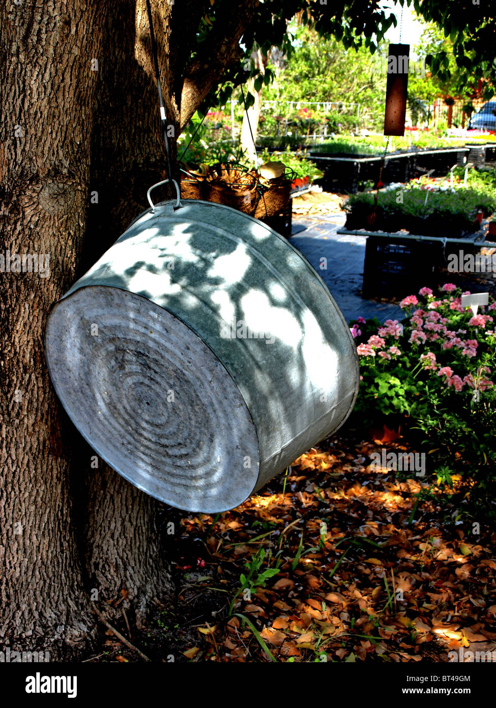 metal barrel bucket on tree dappled with shade patterns surrounded by ...