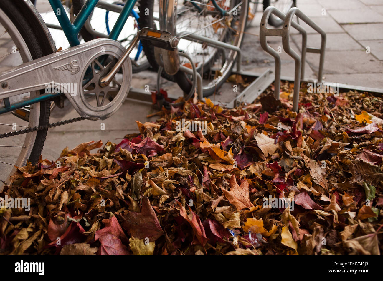 Colorful autumn foliage and bicycle Stock Photo - Alamy