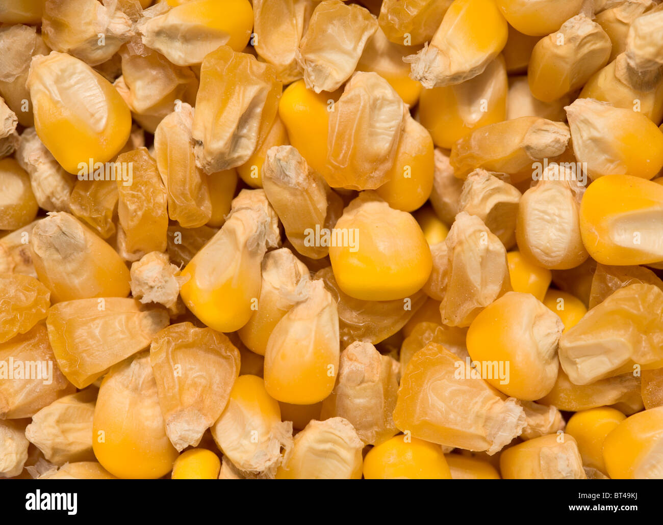 Seed sweet hi-res stock photography and images - Alamy