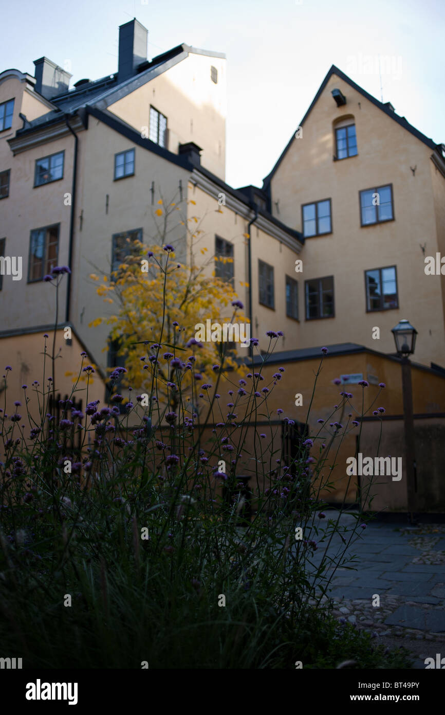 Flowers and houses in Stockholm's Old Town, Sweden Stock Photo - Alamy