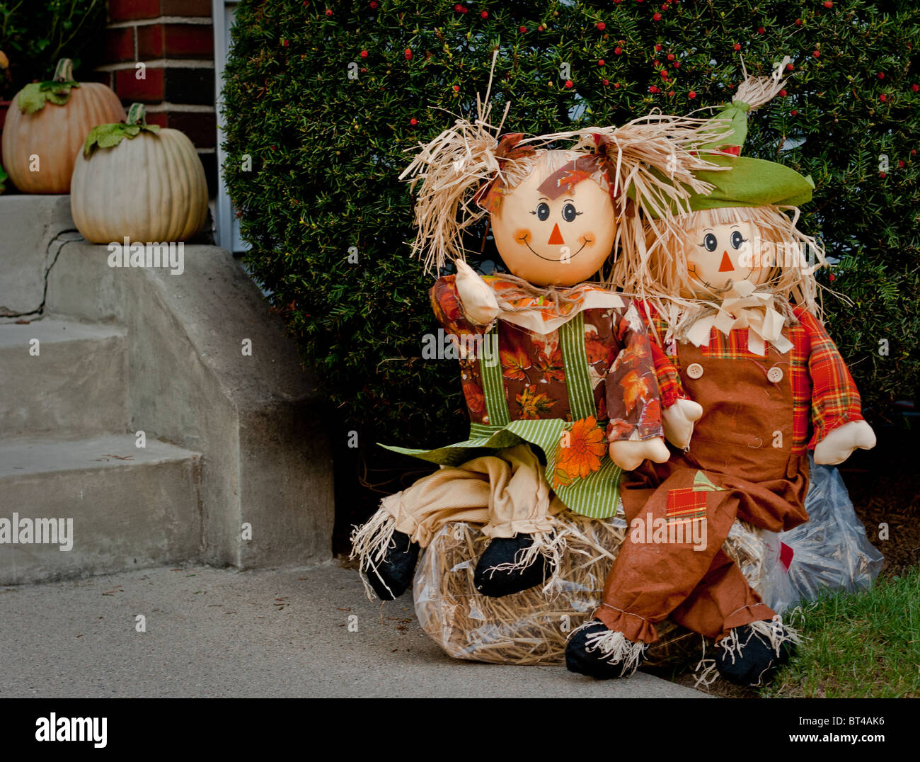 Halloween is here Stock Photo - Alamy