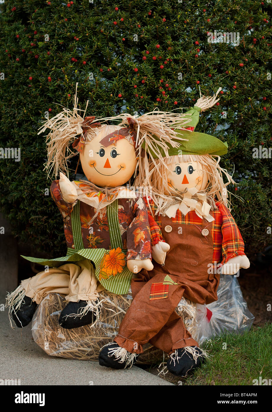 Scarecrow halloween garden hi-res stock photography and images - Alamy