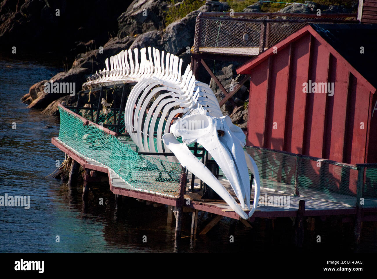 Canada, Newfoundland and Labrador, Twillingate. Prime Berth historic ...