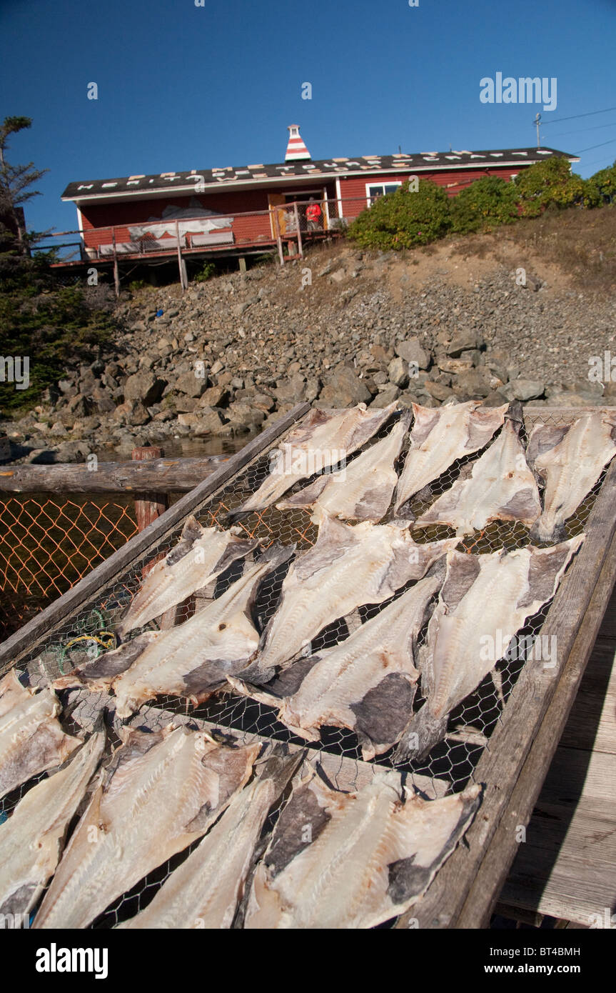 Canada, Newfoundland and Labrador, Twillingate. Prime Berth historic ...